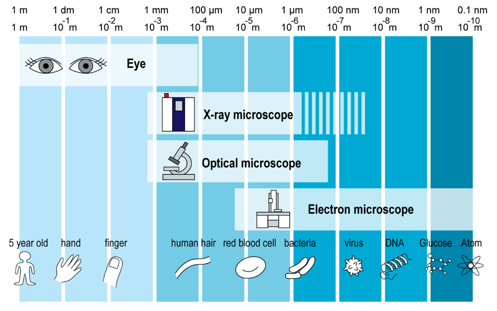 Which Micro 3D Imaging Technique is Right for Me?
